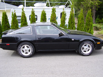 Z31 Paint and Trim Chart