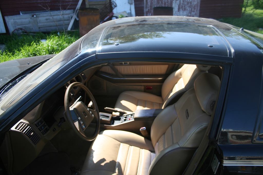 Z31 Paint and Trim Chart